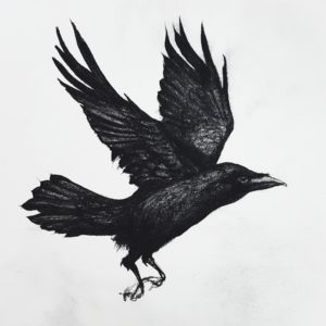 Shona Macdonald: Crow - Colonnade House